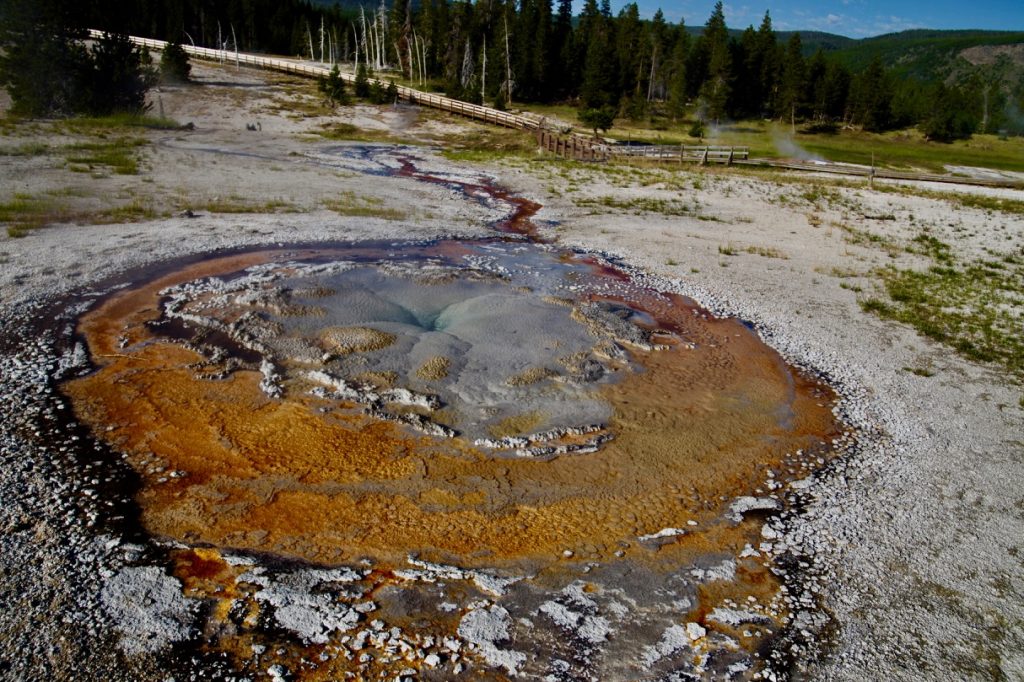 We Survived Yellowstone National Park in July - Just a little tour