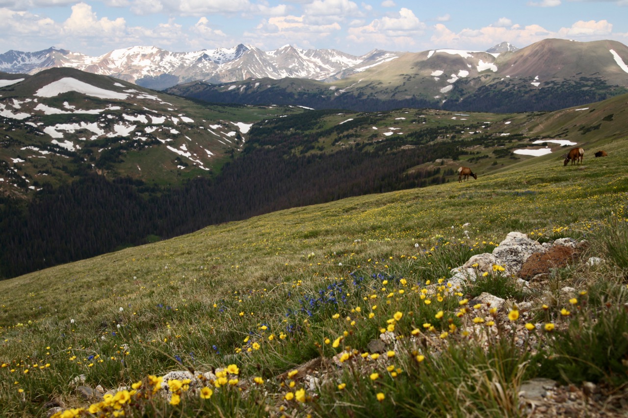 Randonner dans les plus belles montagnes des USA : Parc National des ...